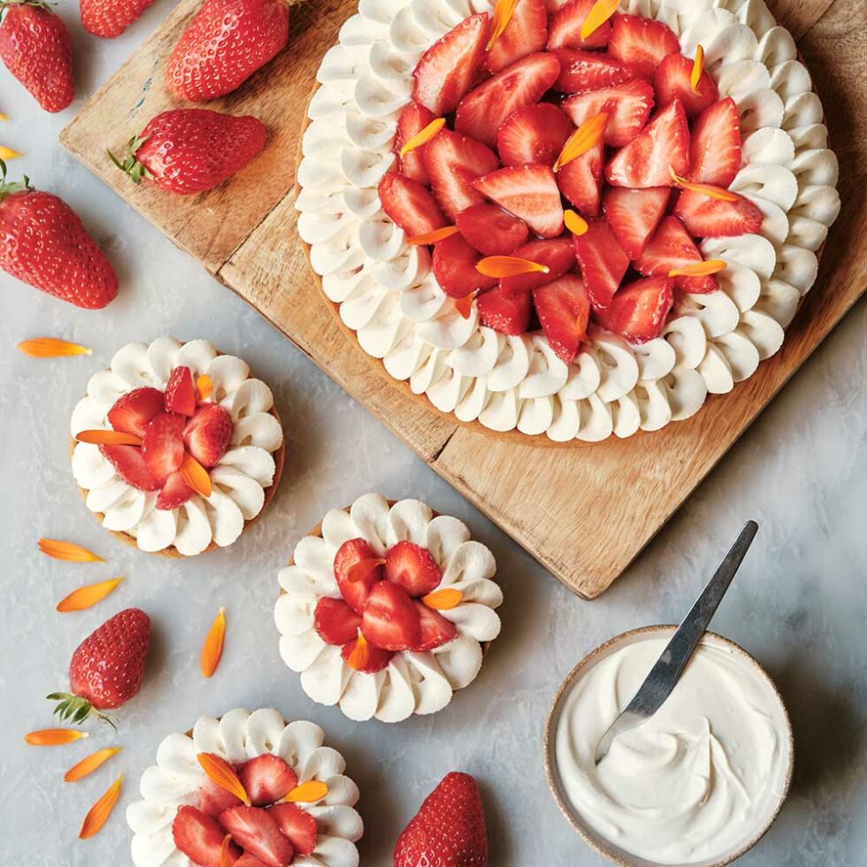 Les pâtisseries intemporelles par Nina Métayer à La Rochelle ...